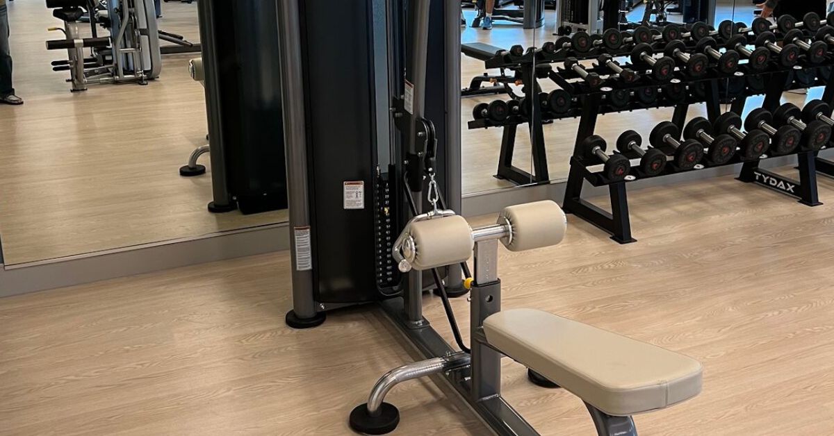 Free Weights vs. Machines: Which Is Better for Your Gym?