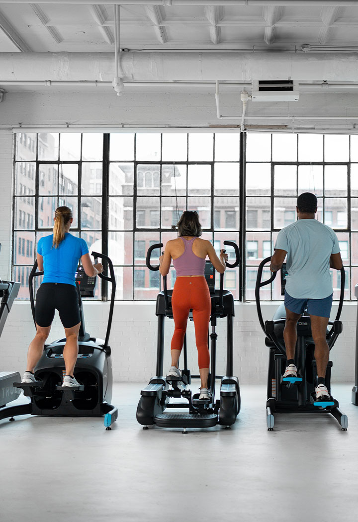 Vapor Series - TRUE Fitness - Commercial Exercise Equipment