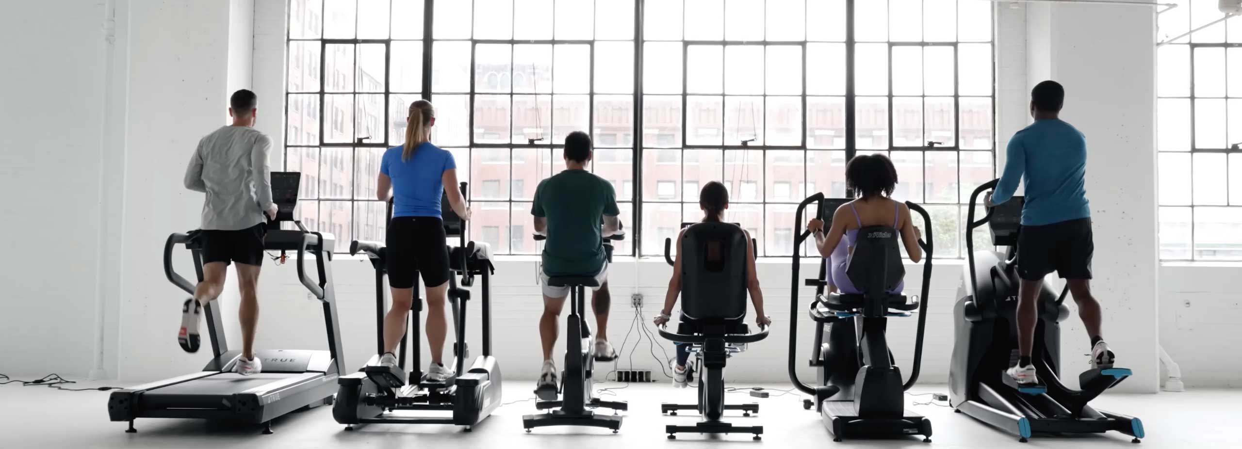 True Fitness – Commercial Exercise Equipment – Commercial Exercise ...